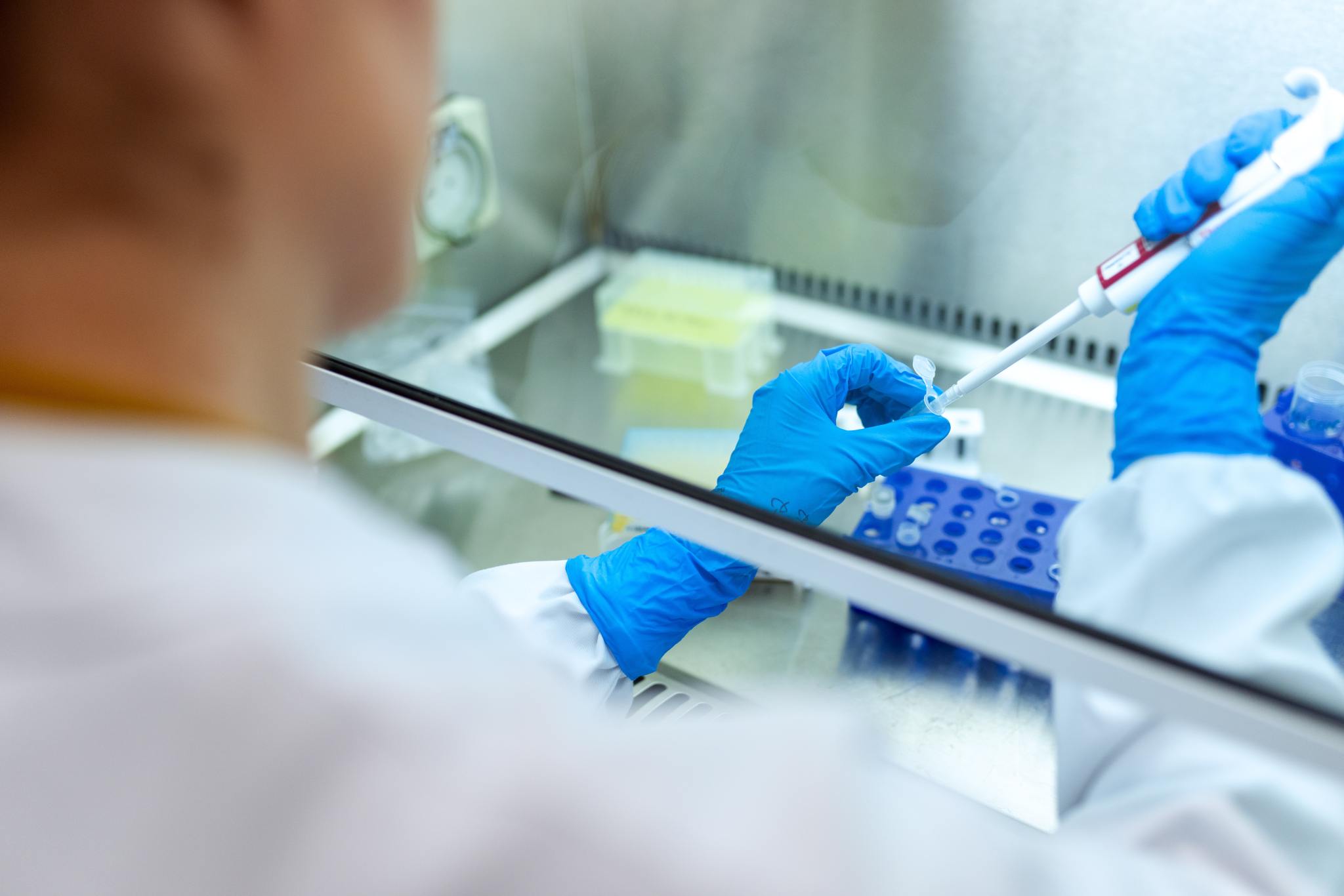 Applying for the Scientist Training Programme – LJMU Student Futures ...